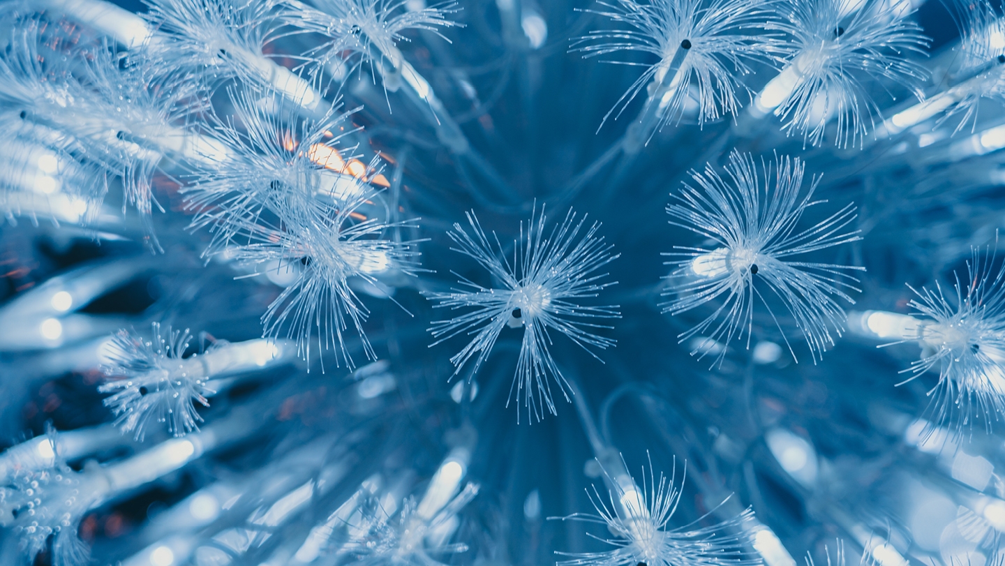 What “Network-Centric to Data-Centric” Really Means